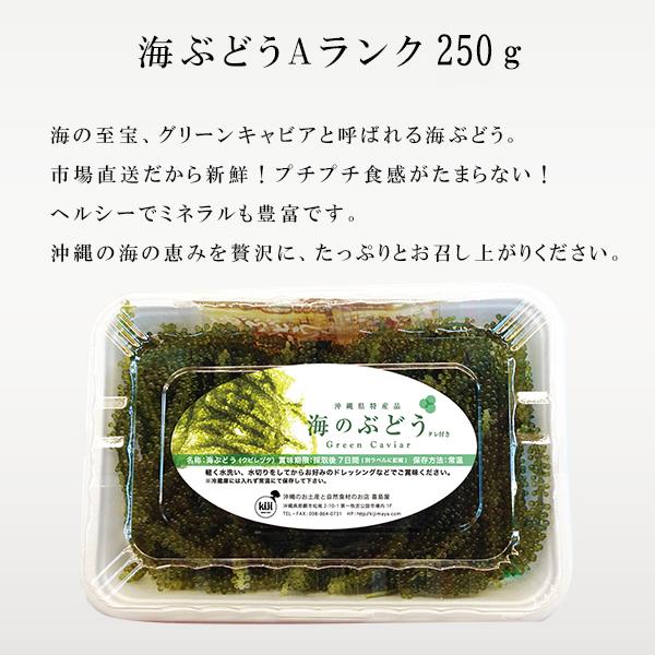 送料無料 海ぶどう 250g タレ付 海ブドウ うみぶどう 生 食品 魚介類 水産加工品 海藻類 グリーンキャビア クビレズタ 沖縄料理 沖縄食材 刺し身 美味しい 海藻 水産 沖縄 お土産 寿司 食感 酢飯 丼 ヘルシー 低カロリー ミネラル
