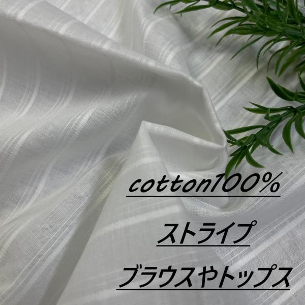 ★表示されている金額は長さ50cｍあたりの価格です★長さを50cm単位で延長が可能です。※数量1＝50cm/数量3＝1.5m ※ご希望ｍ数量をご購入下さいませ。 【素材】コットン100％【色】ホワイト【サイズ/厚さ】 幅117cm ノギス0...
