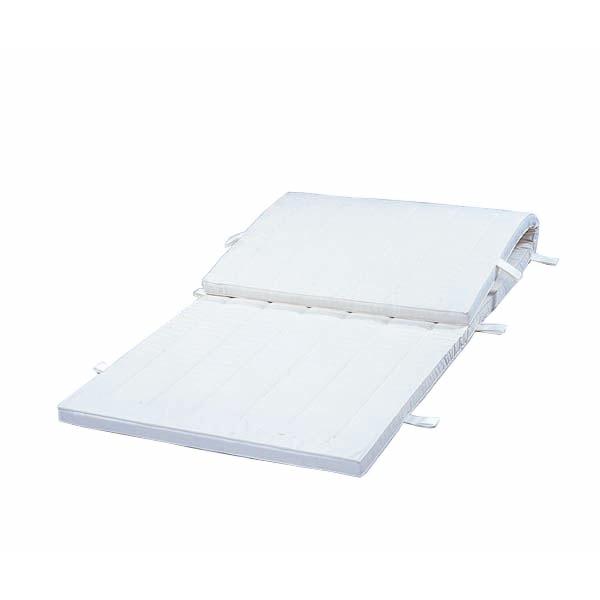 個人宅様への配送が不可の為、お届け際は屋号でお願いいたします。●オール合成スポンジマット小・中・高校教育用微粒粉末発泡半硬質固形スポンジを使用していますので、クッションに柔軟性があり、特に跳び箱や回転運動に最適です。●寸法/幅120cm×長...