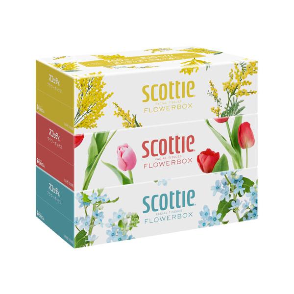 長持ち＆コンパクト！たっぷり250組の大容量！購入単位：1パック配送種別：在庫品Yahoo 通販 4901750413309 1M9466 日本製紙クレシア 日本製紙 クレシア くれしあ CRECIA Crecia スコッティ すこってぃ ...