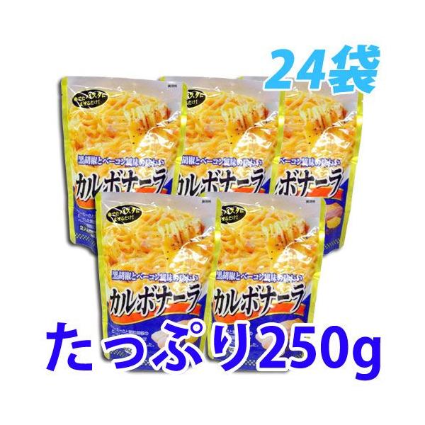 購入単位：1箱(24袋)配送種別：在庫品食品飲料・産直グルメ 食材・惣菜・レトルト・インスタント食品・鍋スープ パスタソース レトルト かるぼなーら 250g×24ふくろ s01048 パスタ スパゲティ 麺 ソース 料理 炭焼 2人前 レ...