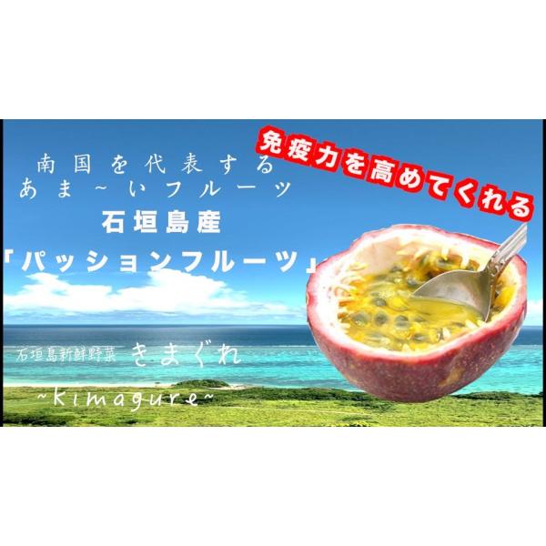 色々な商品やお酒等でも使用されているパッションフルーツ♪♪フルーツの状態で食べると更に虜になりますよ♪♪こちらの商品はサイズが少し小さめの為2個入りで発送致します♪