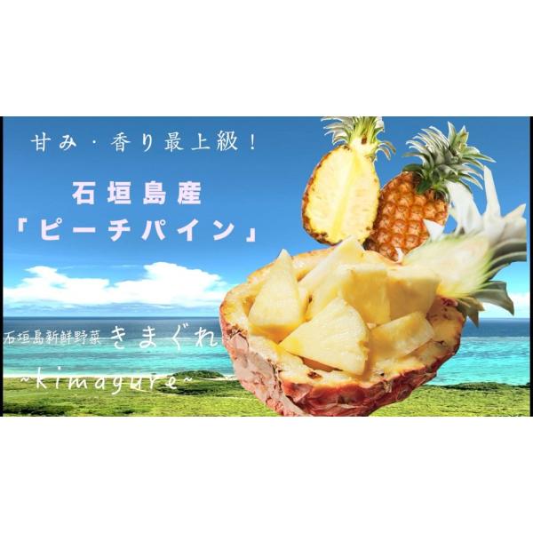 石垣島産「ピーチパイン」を4kgセットにしてお得に販売中♪♪この機会に新鮮なピーチパインを食べてみませんか！？ピーチパインのサイズが一定ではありませんのでご理解の上購入宜しくお願い致します♪内容量の目安5〜7玉(時期により小玉の場合は数を増...
