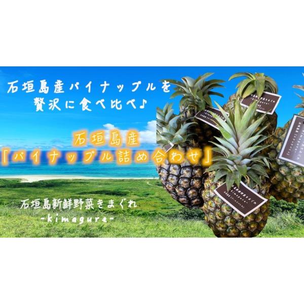 採れたて新鮮な石垣島産パイナップルの規格外サイズを詰め合わせてお得に販売中♪♪下記の種類の中からランダムに2〜4種類(8〜10玉)詰め合わせ致します。ご指定は出来ませんので予めご了承ください＊石垣島産「ピーチパイン」＊石垣島産「スナックパイ...