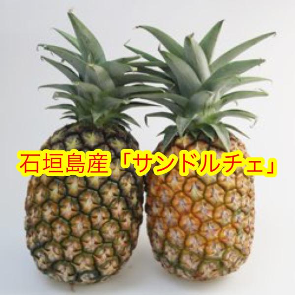 沖縄のブランドパイナップル2種類を掛け合わせて作られたパイナップル。2017年に商標登録され少しずつ生産が始まりましたがまだまだ生産数が少ない希少なパイナップルです。生産の大半を石垣島で行っている為島外ではなかなか流通しておりません。是非こ...