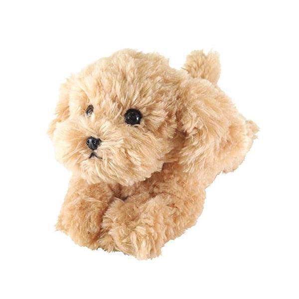 ひざ・トイプードル ベージュ S P-3042・・Color:トイプードル ベージュ・本体サイズ: 約H17×W19×D37cm(寝そべっている状態)・商品モデル番号: P-3042・種類: 単品・原産地: 中国