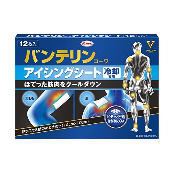 ・青  4987973213988・ほてったカラダをクールダウン、ひんやりさせてリフレッシュ