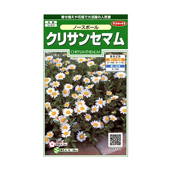 クリサンセマム・green 0.2ml 00906310・詰量:0.2ml・発芽率:70%・採苗本数:80・まきどき:春・秋