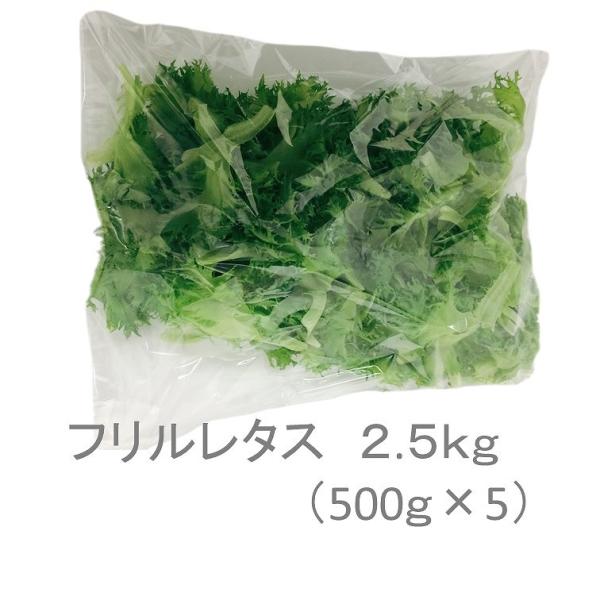 ふくしまプライド。体感キャンペーン（果物/野菜）対象商品です。食感は玉レタスに似たクリスプタイプですが、葉色が濃く、カロテンを多く含みます。葉先に細かい切れ込みが入っており、お料理をボリューミ＆華やかに演出してくれます。お弁当の仕切りやサン...