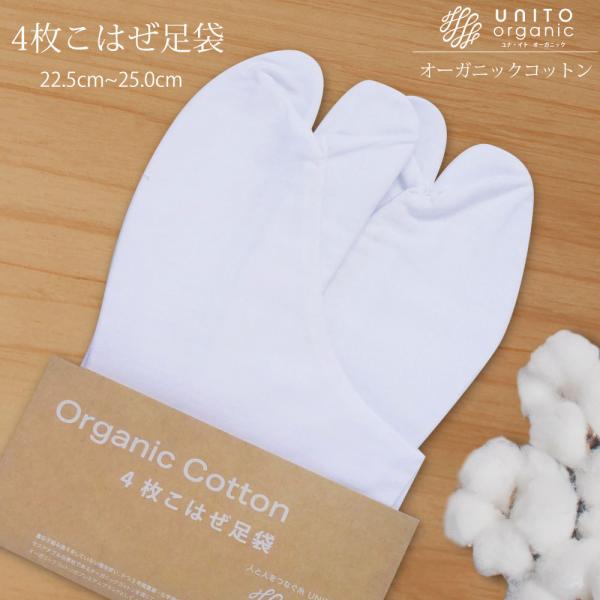 和服のおしゃれさは足下から。着用場面を選ばない女性向け白足袋（たび）です。履き心地がとても良く、１年中御召しいただけます。かかとのこはぜは４枚で、しっかり留めて素足がちょうど出ない程度の一般的な高さです。成人式の振袖や卒業式のフォーマル着を...