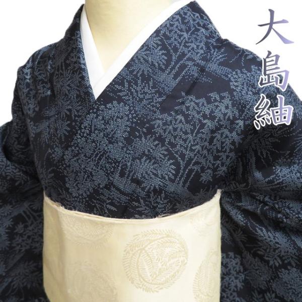 丈168cm(+6) 裄69cm(+2) 袖丈52.5cm(+4)前幅24cm 後幅30.5cm※サイズのお直し、承ります。（身丈のみ、身幅のみのお直しは承っておりません）※身丈は肩から測っております。※()内の数字はお直しで直せる長さを示...