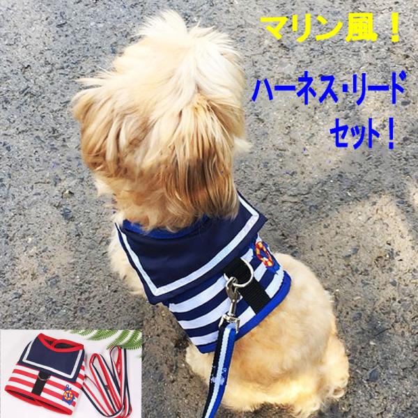 可愛いマリン風ハーネス＆リードセット！お洒落して、お出かけやお散歩にお揃いのハーネスとリードでワクワク♪バックルが付いているのでマジックテープが、外れても安心！引っぱっても痛くない！☆お洋服感覚でかわいいですので、お洋服を着せなくても、これ...