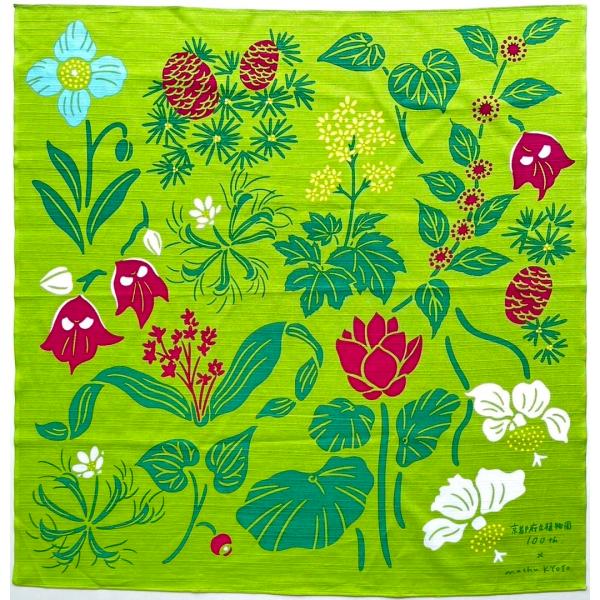 mashu風呂敷巾（約71×73cm）綿１００％日本製・新品京都にある馬場染工場が柄・染めを行っている風呂敷のオリジナルブランド・mashu　張りと素材感のあるシャンタン風呂敷です。1924年（大正13年）開園、100周年を迎えた京都府立植...