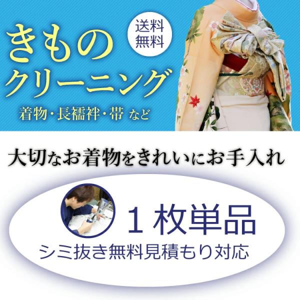 大切なお着物をきれいにお手入れする【きものクリーニング】着物を始め、長襦袢・帯 ・羽織・和装小物など和装に関する物は何でもお受けいたします。（送料無料）当社の和装クリーニングは、安心の国内自社工場。「これ落ちるかな？」といったシミ・汗染みな...