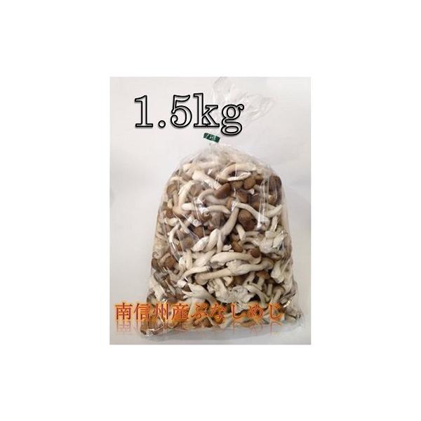 しめじ栽培36年。長野県南信州の木村きのこ園が無農薬栽培した歯ごたえたっぷりのぶなしめじです。調理の際にカットされるいしづきを一株一株丁寧に切り落としてほぐした状態で袋詰め致します。料理の手間を一つ省ける商品となっております。採れたてのぶな...