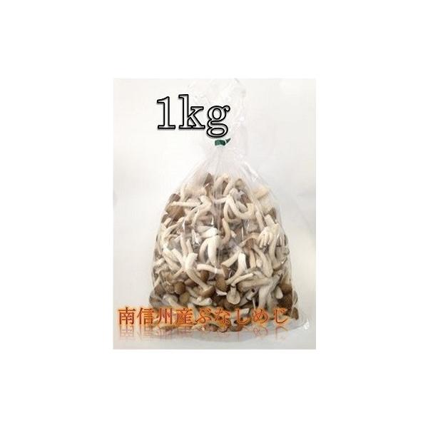 しめじ栽培36年。長野県南信州の木村きのこ園が無農薬栽培した歯ごたえたっぷりのぶなしめじです。調理の際にカットされるいしづきを一株一株丁寧に切り落としてほぐした状態で袋詰め致します。料理の手間を一つ省ける商品となっております。採れたてのぶな...