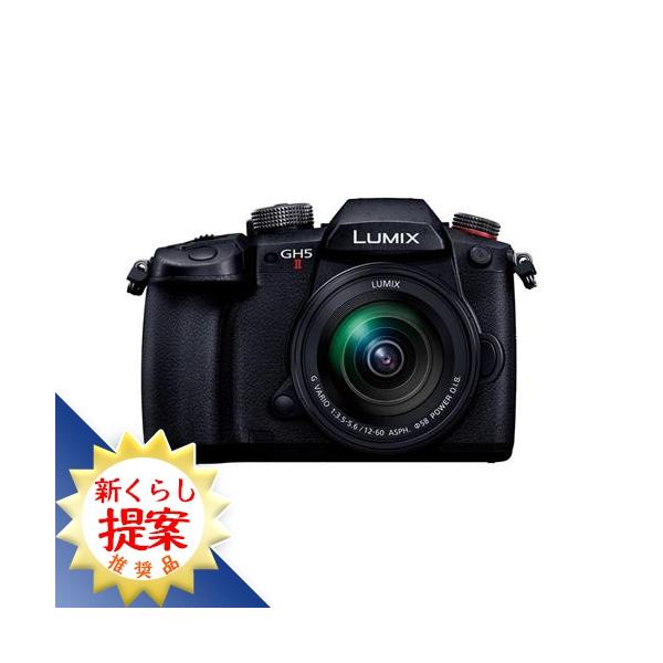 パナソニック　DC-GH5M2M　デジタル一眼カメラ　DCGH5M2M 315