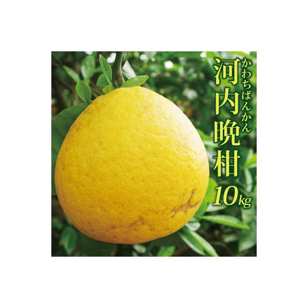 商品名：河内晩柑(かわちばんかん)生産地：愛媛県サイズ：M〜3L(１玉直径8cm〜12cm前後)内容量：10kg(大小混じり約30玉前後)多少のキズ、カサブタ、黒点など外観に難のある物も入ります。当店の河内晩柑は木成り栽培のため、時期終盤に...