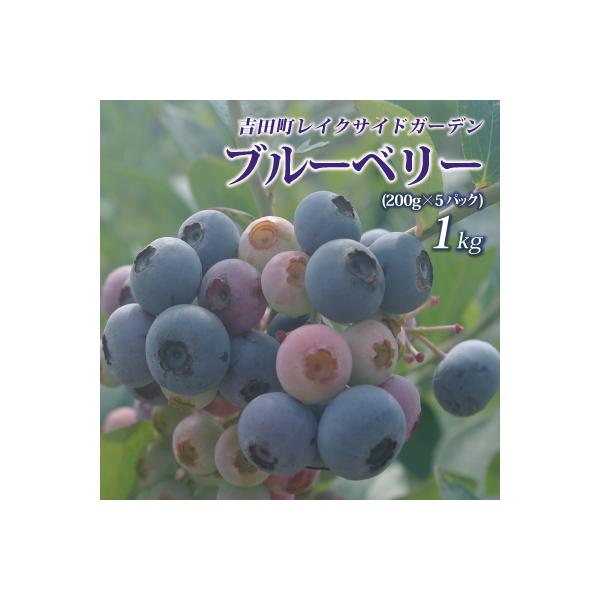 商品説明商品名：生ブルーベリー生産地：愛媛県宇和島市吉田町サイズ：大小混じり(１玉直径１cm〜２cm)内容量：1kg（1パック200g入り 5パック）クール冷蔵便でお送りいたします。商品について愛媛県吉田町、ブルーベリー園レイクサイドガーデ...