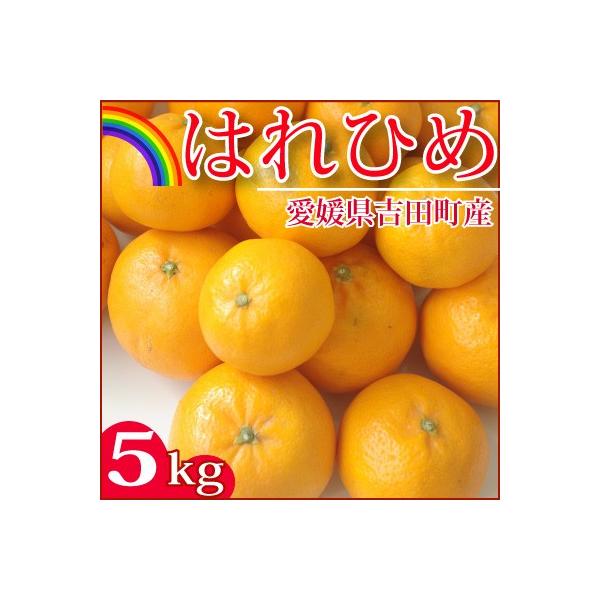 愛媛産はれひめ５キロ サイズ:M〜2L中心（サイズ混合）生産地:愛媛県宇和島市 賞味期限:常温冷暗所または冷蔵で１週間〜１０日前後 発送時期:12月中旬頃〜（その年により前後します） お召し上がり方 ○温州みかんのように手で剥いて、内皮も一...
