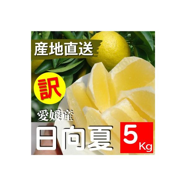 ※種があります。《お召し上がり方》白い綿を残してリンゴ剥きにした後、桃と同じように芯を避けてカットして下さい。※目立つシミ、ソバカス等あります。※外皮が青いものは、回青現象で、一度黄色く色付いた果実が、気温が高くなり再び青みを帯びることで、...