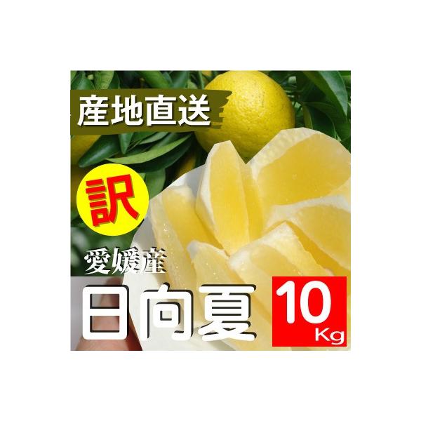 ※種があります。《お召し上がり方》白い綿を残してリンゴ剥きにした後、桃と同じように芯を避けてカットして下さい。※目立つシミ、ソバカス等あります。※外皮が青いものは、回青現象で、一度黄色く色付いた果実が、気温が高くなり再び青みを帯びることで、...