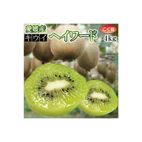 【発売日：2016年11月26日】キウイフルーツ（品種:ヘイワード・その他）愛媛県宇和島市吉田町保存について12月は固いため冷暗所で保管できます。1月には追熟が進むため、ビニールに「小分け」して冷蔵庫で保管下さい。 追熟方法お召し上がりの分...
