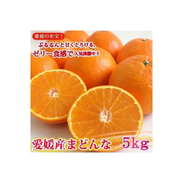 愛媛産まどんな5キロ 品種:愛媛果試第28号 サイズ: L〜４Ｌ 生産地: 愛媛県宇和島市 賞味期限: 冷暗所または冷蔵で１週間〜１０日前後 発送時期: 11月中旬〜12月初　　　　※なくなり次第終了　　　　※お取り置きはできません。　　　...