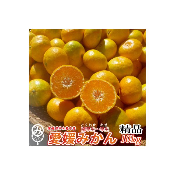 商品名：家庭用 愛媛みかん１０ｋｇ品　種：温州みかん（うんしゅうみかん）生産地：愛媛県宇和島市吉田町 内　容：S〜2Lサイズ混合（Mサイズ換算で100個前後）商品について味がよく、標準サイズ、外観も良い家庭用。Sから2Lサイズを大小込みで箱...