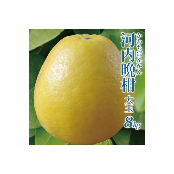 大玉河内晩柑(かわちばんかん)生産地：愛媛県サイズ：３Ｌ〜５Ｌ(１玉直径13cm前後)内容量：8kg(約１４玉前後)キズ、カサブタ、黒点など外観に難のある物が入ります。手作業で選果しておりますので、スアガリの物が混じって入る可能性がございま...