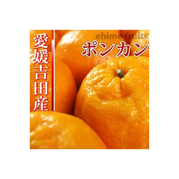 品種：ポンカンサイズ：Ｍ〜３Ｌサイズ混合産地：愛媛県宇和島市吉田町※2026年のポンカンは味のばらつきがあり、酸味があるものも混じります。