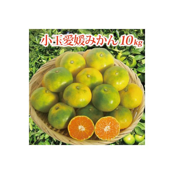 商品名：小玉みかん(温州みかん)生産地：愛媛県サイズ：2S以下(１玉直径5.5cm以下)内容量：10kg(140玉前後)※入荷の状況によっては発送までにお時間を頂く場合がございます。◎温州みかんと呼ばれる物の中から、２Ｓサイズ以下のみかんを...