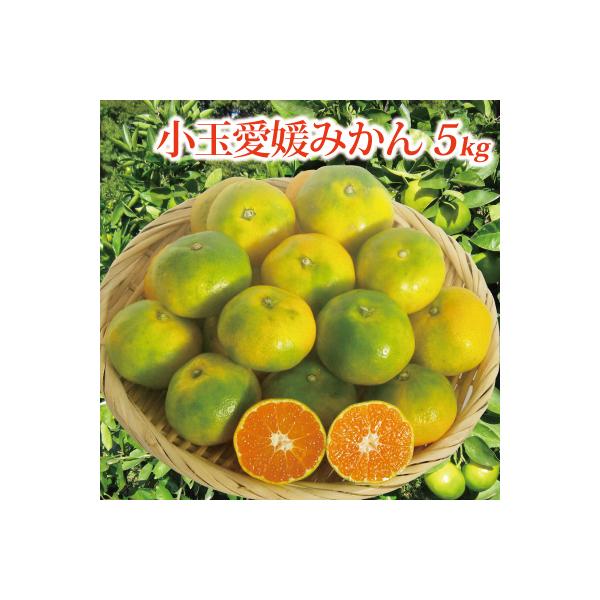 商品名：小玉みかん(温州みかん)生産地：愛媛県サイズ：2S以下(１玉直径5.5cm以下)内容量：5kg(70玉前後)※入荷の状況によっては発送までにお時間を頂く場合がございます。◎温州みかんと呼ばれる物の中から、２Ｓサイズ以下のみかんをお送...