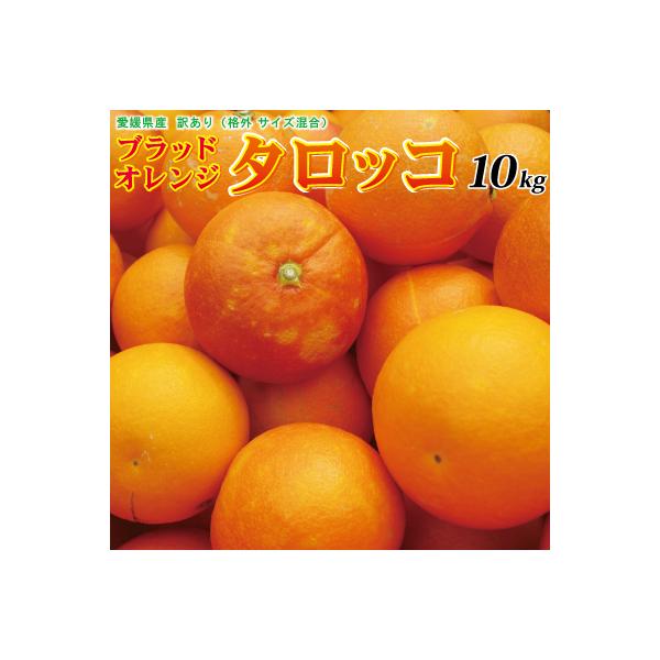 【発売日：2017年03月17日】商品説明商品名：タロッコ(ブラッドオレンジ)生産地：愛媛県サイズ：S〜4L(１玉直径6cm〜10cm前後)内容量：10kg(大小混じり約60玉前後)訳あり品は傷・カサブタ・ヤケ・ヘタ落ちなど外観に難のある物...
