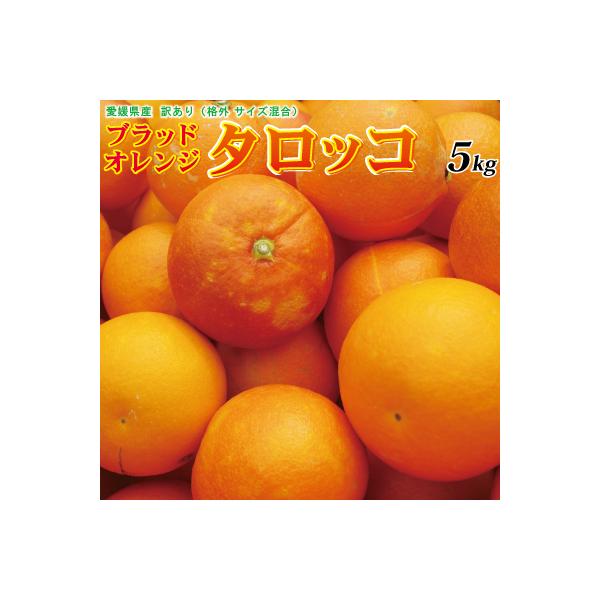 【発売日：2017年03月17日】商品説明商品名：タロッコ(ブラッドオレンジ)生産地：愛媛県サイズ：S〜4L(１玉直径6cm〜10cm前後)内容量：5kg(大小混じり約30玉前後)訳あり品は傷・カサブタ・ヤケ・ヘタ落ちなど外観に難のある物、...