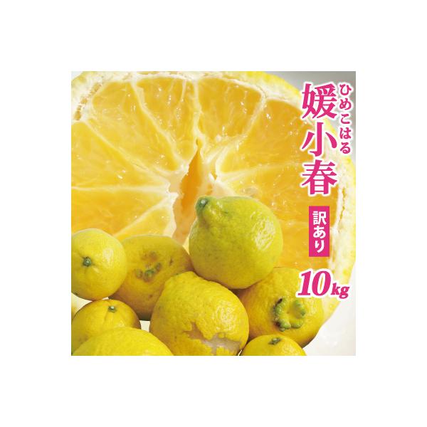 【発売日：2016年01月07日】商　品：訳あり媛小春(ひめこはる)生産地：愛媛県内容：訳あり品　大小混合　色々なサイズが混ざったり偏ったりして入ります。特に小さい物、風キズ・カサブタがある物、形がいびつな物、青味・赤味・色ムラや黒点がある...