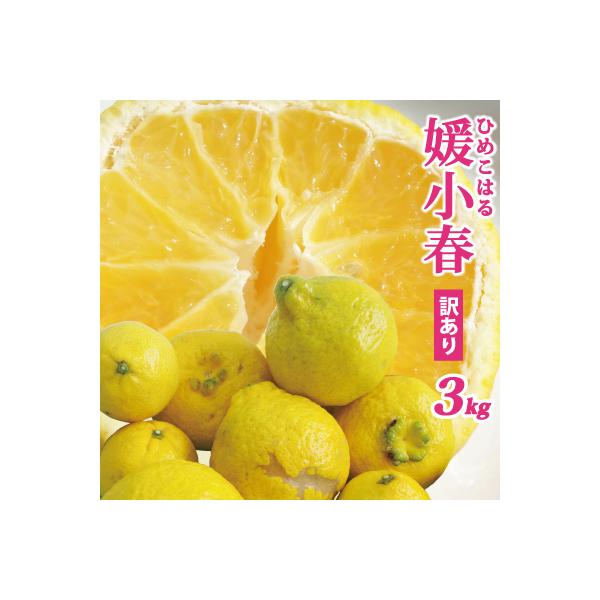 【発売日：2016年01月07日】商　品：訳あり 媛小春(ひめこはる)生産地：愛媛県内容：訳あり品　大小混合　色々なサイズが混ざったり偏ったりして入ります。特に小さい物や大きい物、風キズ・カサブタがある物、形がいびつな物、青味・赤味・色ムラ...