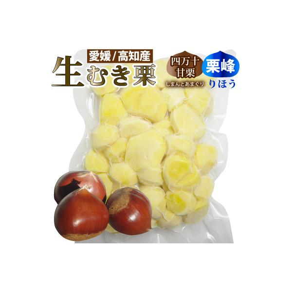 【発売日：2023年11月01日】