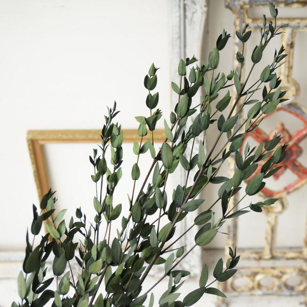 アロマワックスサシェやキャンドル制作にお使いいただけます。■カラー：グリーン ■大きさ：約40cm ■重さ：60g※自然素材のため色・大きさにはバラつきがあります。あらかじめご了承ください。