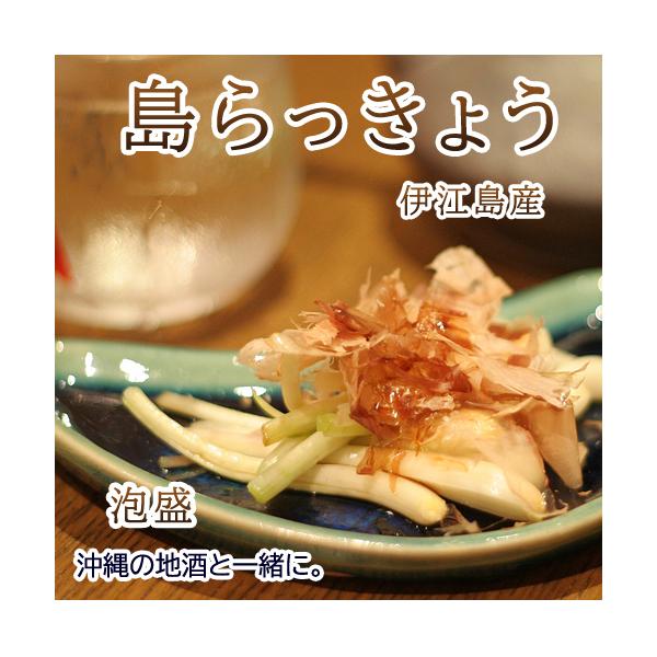 【重要・ご案内】島らっきょうは冷蔵便の為、海ぶどう(常温便)と同時ご注文の場合別途送料が発生致します。別途メールにてご連絡をさせていただきますのでご確認をお願い致します。お取り寄せ グルメ おつまみ 沖縄 お土産 島らっきょう【商品名】伊江...