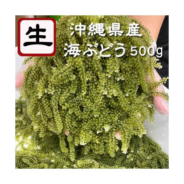 【 ご 案 内 】・お届けご希望日がございましたら（ご要望）へご記入（月曜日到着は不可）お願いいたします。・冬季の間、北海道地方への発送につきまして停止（補償対象外）となります・冷蔵/冷凍商品と同梱ご注文の際、それぞれ別途送料が発生致します...