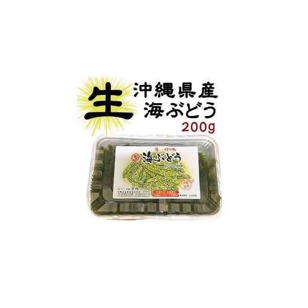 【 ご 案 内 】・お届けご希望日がございましたら（ご要望）へご記入（月曜日到着は不可）お願いいたします。・冬季の間、北海道地方への発送につきまして停止（補償対象外）となります・冷蔵/冷凍商品と同梱ご注文の際、それぞれ別途送料が発生致します...