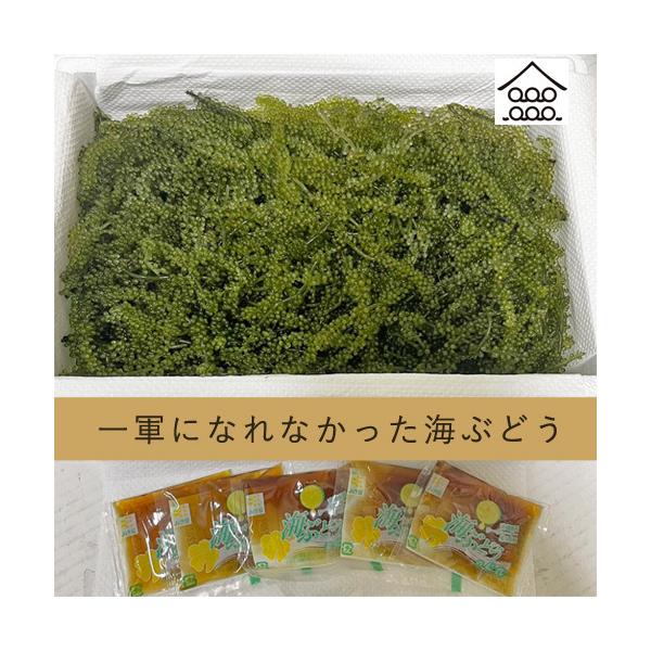 【 ご 案 内 】・お届けご希望日がございましたら（ご要望）へご記入（月曜日到着は不可）お願いいたします。・冬季の間、北海道地方への発送につきまして停止（補償対象外）となります・冷蔵/冷凍商品と同梱ご注文の際、それぞれ別途送料が発生致します...