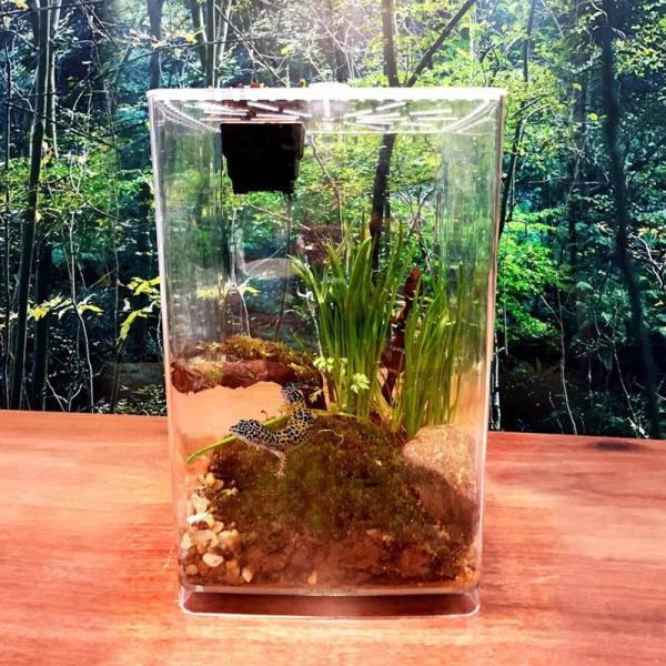爬虫類 ケージ 水槽 ゲージ トカゲ カメレオン サソリ LEDライト付き