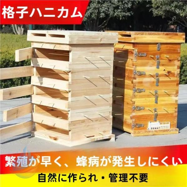 蜜蜂巣箱 ミツバチ 巣箱 重箱式 養蜂箱 杉材 蜂ハイブ 格子箱 煮蝋 /乾燥