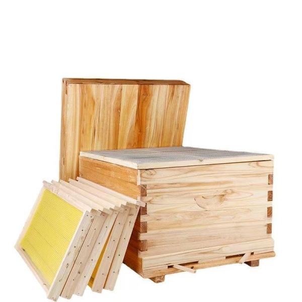 【養蜂製品】養蜂箱網の設計があり、外の昆虫から蜂を守ることができます。掃除はもっと便利で、きれいです。蜂蜜をより安全で、より自然で新鮮なものにすることができます。養蜂家にとって理想的なツールです。【商品仕様】 ログスタイル 乾燥 ミツバチ巣...