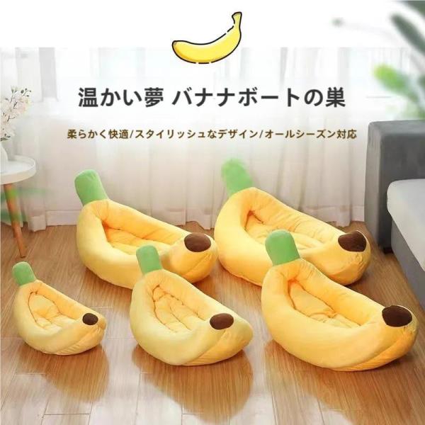 商品の情報                                     詳細情報                         ペットの品種                     &amp;amp;amp;amp;amp;a...