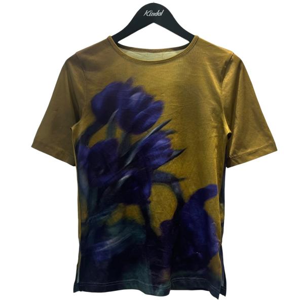 アメリ AMERISHEER FLOWERBASE PRINT TOP シアーシャツ 02210391220【ランク】「中古品・比較的綺麗な商品」【詳細説明】アメリのSHEER FLOWERBASE PRINT TOP シアーシャツ 022...