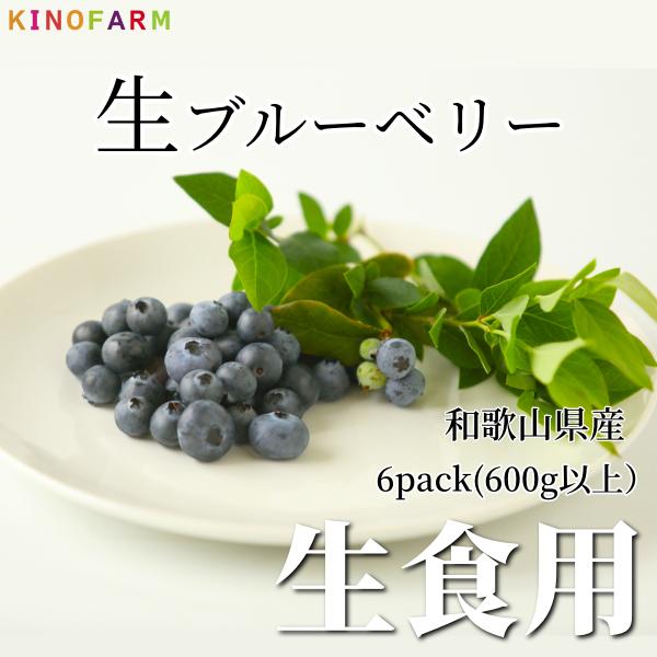 100グラムのパッケージが6パック、合計600グラム以上となります。和歌山県紀の川市で栽培されたブルーベリーです。朝早く摘み取ったものを、その日のうちに発送します。生でお召し上がりいただくのが最もお勧めとなっています。品種はハイブッシュ、ラ...