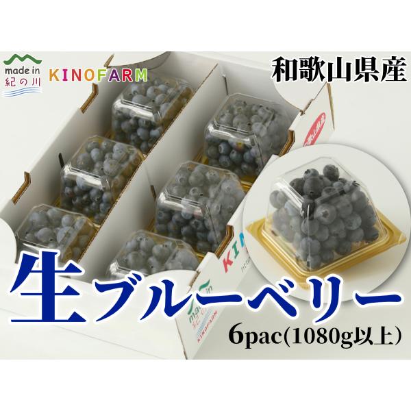 180グラムのパッケージが6パック、合計1080グラム以上となります。和歌山県紀の川市で栽培されたブルーベリーです。朝早く摘み取ったものを、その日のうちに発送します。生でお召し上がりいただくのが最もお勧めとなっています。品種はハイブッシュ、...